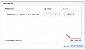 How to Split Your Facebook Custom Audience Across Ad Sets - AdvertiseMint