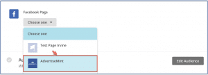 How to Create Facebook Ads on MailChimp - AdvertiseMint
