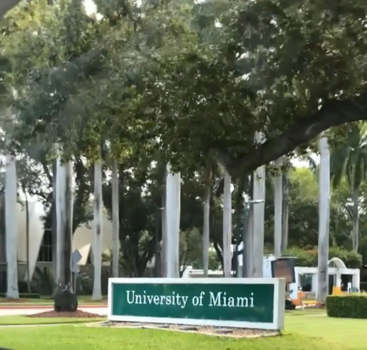 Miami Advertising Agency - AdvertiseMint