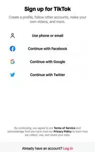 How To Ads on TikTok: A Beginner's Guide - AdvertiseMint
