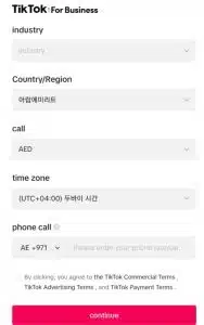 How To Ads on TikTok: A Beginner's Guide - AdvertiseMint